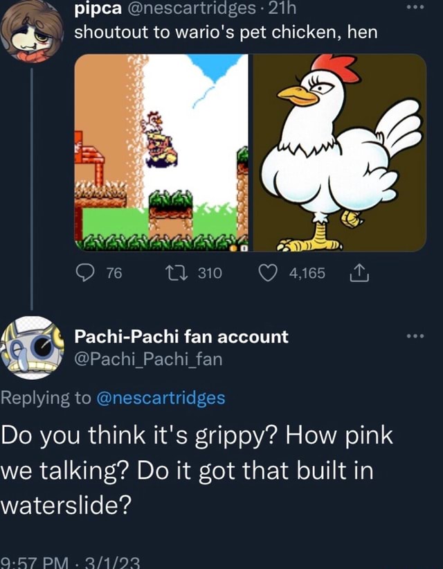 Pipca @nescartridges shoutout to wario's pet chicken, hen 76 Pachi ...