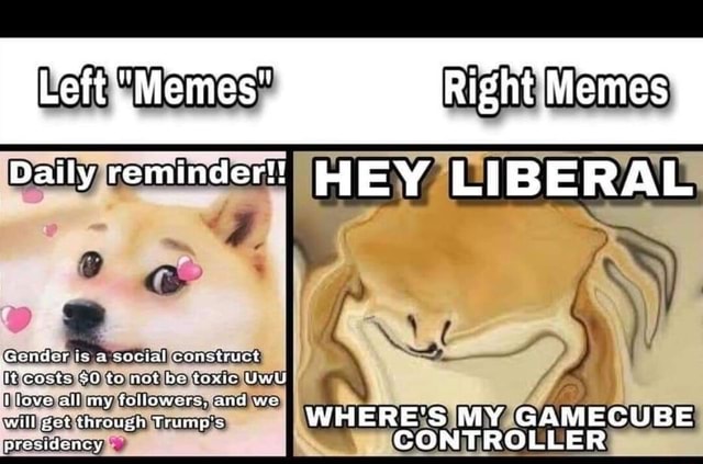 Left ('Memes'' Right Memes Daily reminder! HEY LIBERAL all my and @ill ...