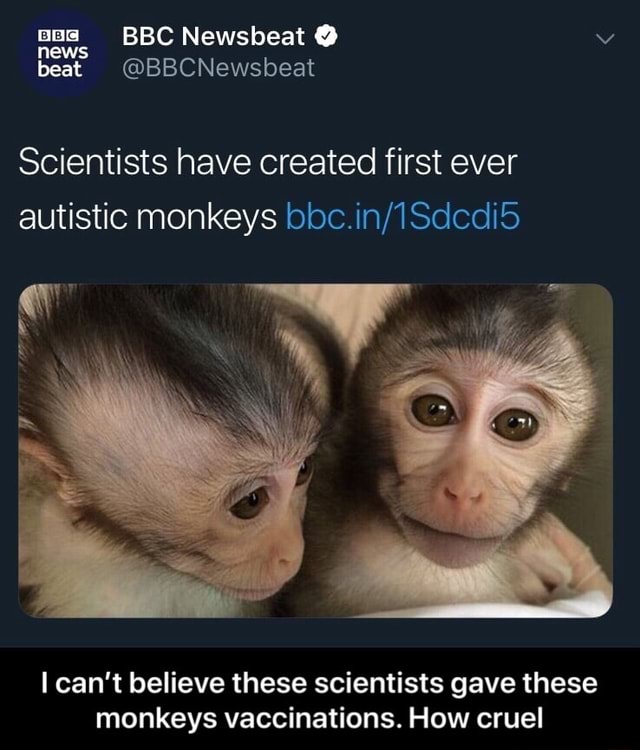 Scientists have created first ever autistic monkeys bbc.in/1Sdcdi5 I ...