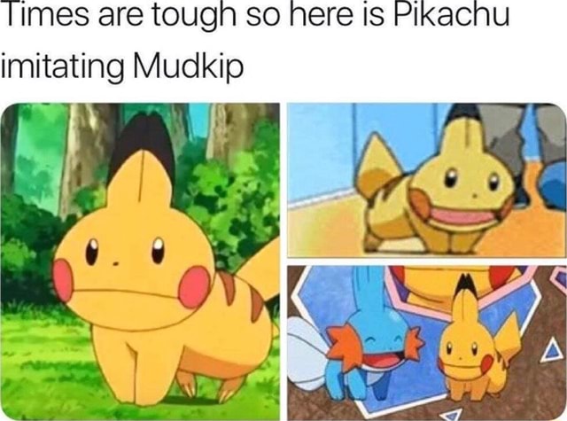 Times are tougn so here Is Pikacnu imitating Mudkip - iFunny