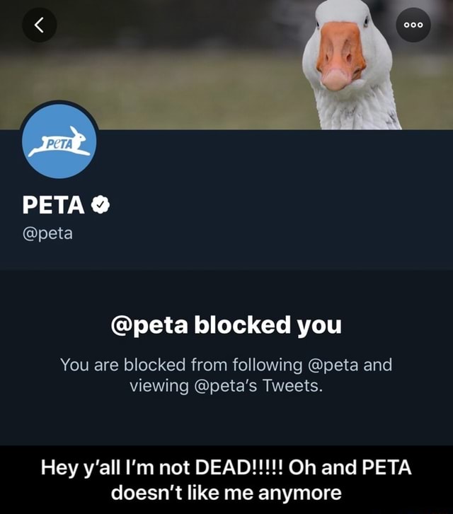 @peta blocked you You are blocked from following @peta and viewing ...