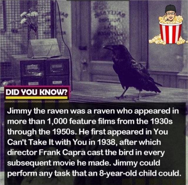 DID YOU KNOW? Jimmy the raven was a raven who appeared in more than ...