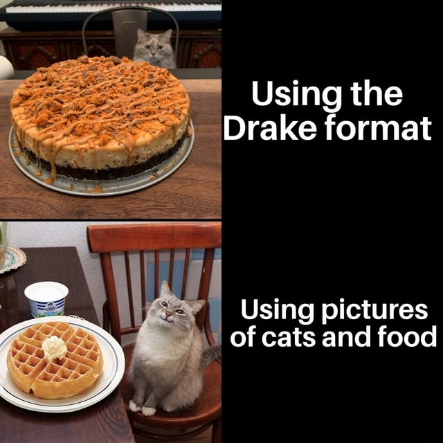 Using the Drake format Using pictures of cats and food - iFunny