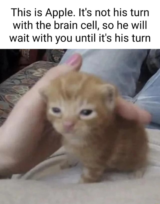 This is Apple. It's not his turn with the brain cell, so he will wait with you until it's his ...