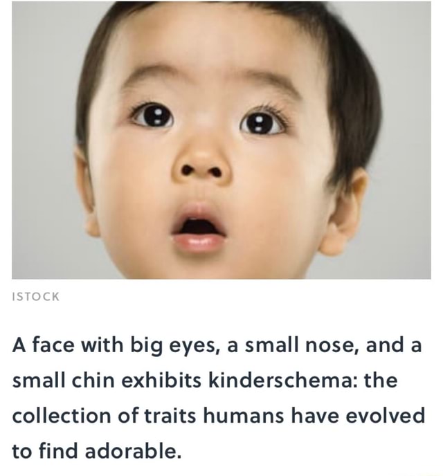 A face with big eyes, a small nose, and a small chin exhibits ...