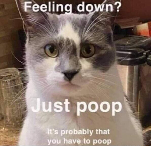 St POOP ably that ve poop - iFunny