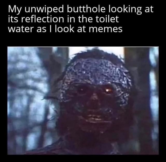 My unwiped butthole looking at its reflection in the toilet water as I ...