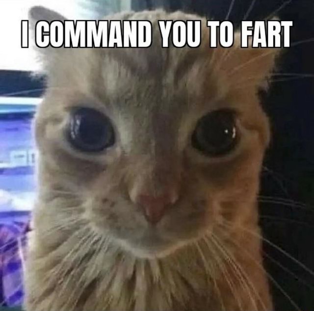COMMAND YOU FART - iFunny