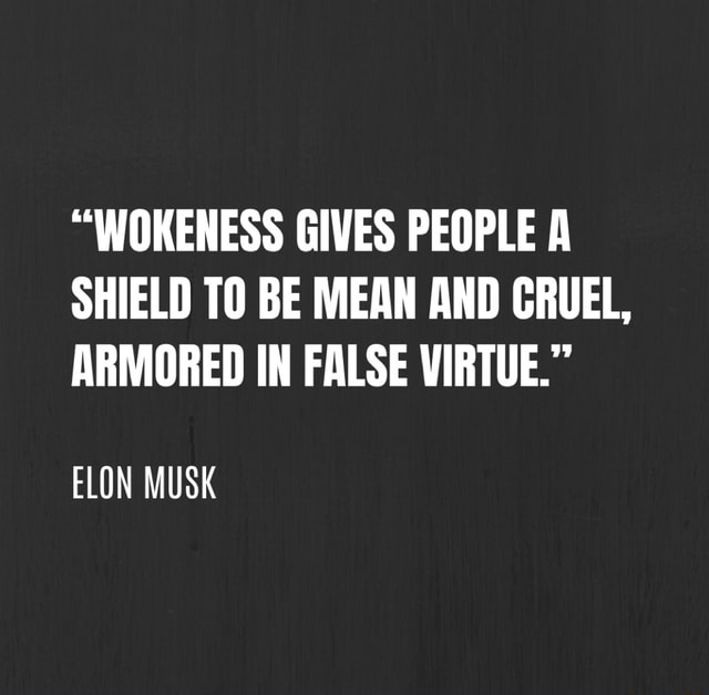 "WOKENESS GIVES PEOPLE SHIELD TO BE MEAN AND GRUEL, ARMORED IN FALSE ...