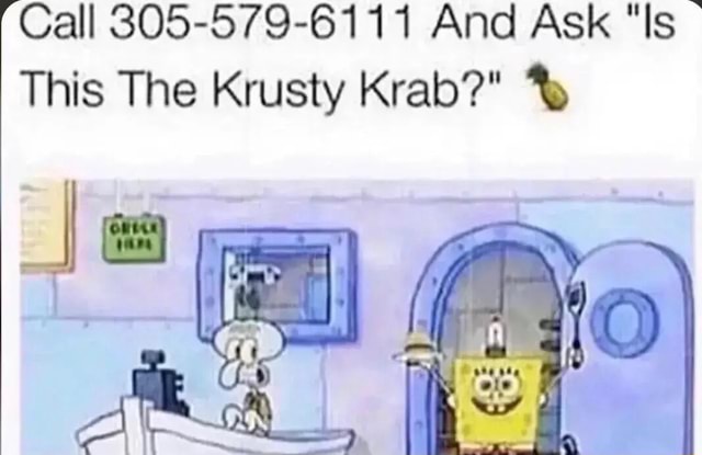 Call 305-579-6111 And Ask "Is This The Krusty Krab?" I I I - iFunny