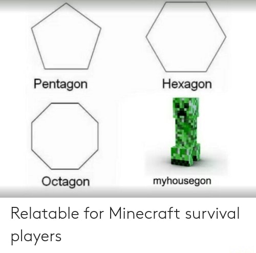 Pentagon Hexagon myhousegon Octagon Relatable for Minecraft survival ...
