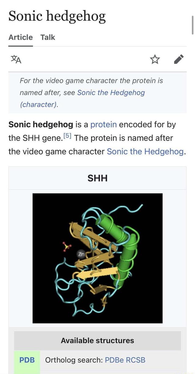 Sonic hedgehog Article Talk For the video game character the protein is ...