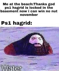 Me at the god psi hagrid is locked in the basement now can win no nut ...