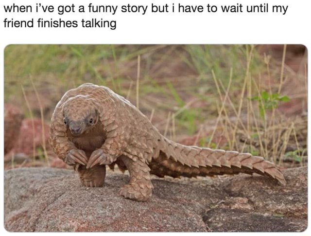 When i've got a funny story but i have to wait until my friend finishes ...