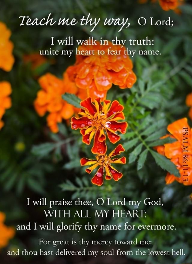 Teach thy WHY, Lord; will walk in thy truth: unite my heare to fear chy ... Teach thy WHY, Lord; will walk in thy truth: unite my heare to fear chy ...