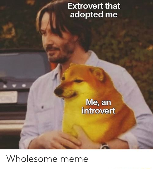 Wholesome meme - Extrovert that adopted me Me, an introvert Wholesome ...