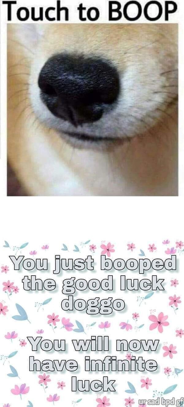 Touch to BOOP You just boopec! the gooel luck " 'You will mow awe ...