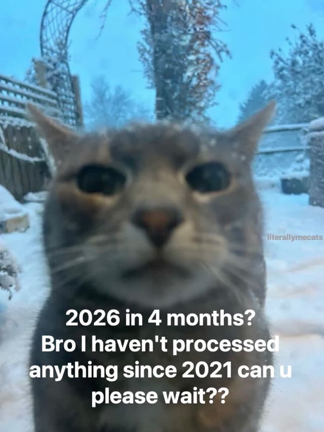 2026 in 4 months? Bro I haven't processed anything since 2021 can u ...