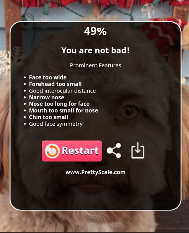 49% You are not bad! Prominent Features Face too wide 00 00 Forehead ...