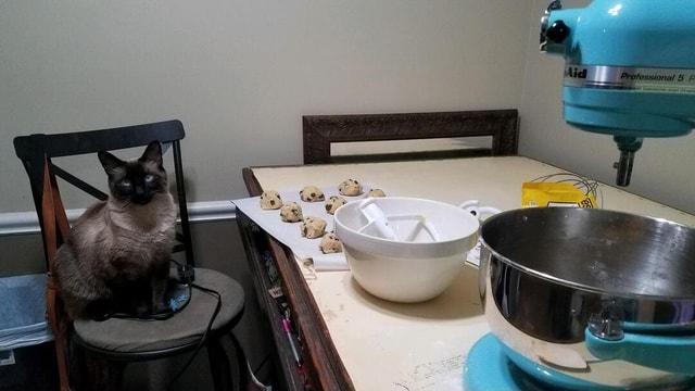 Uncle Fester supervises the cookie making process - )