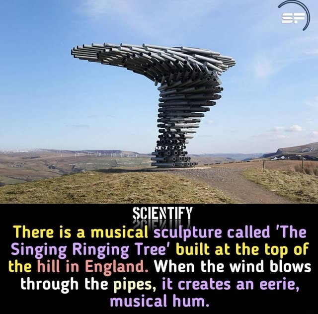 SCIENTIFY There is a musical sculpture called 'The Singing Ringing Tree ...