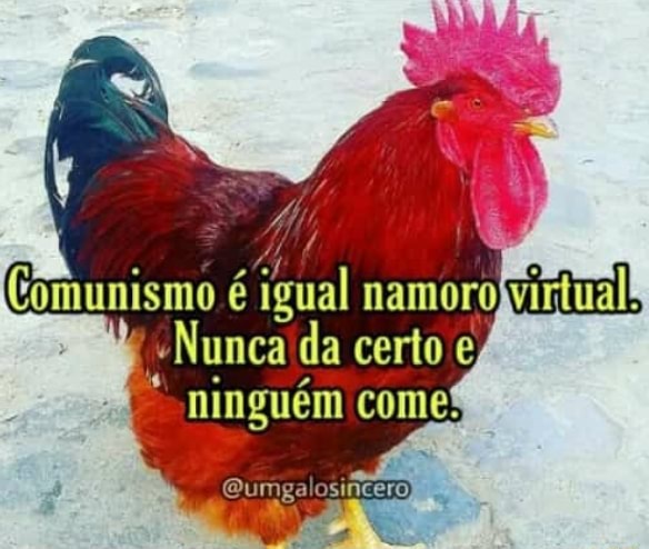 Memes de imagem bPHlssjl6 por Godzilla_Giroflex: 3 comentários - )