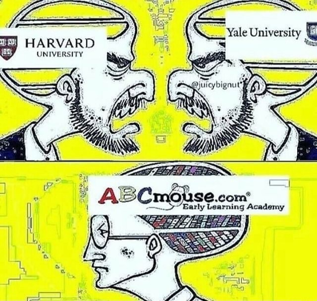 HARVARD UNIVERSITY \ University Early Learning Academy - iFunny