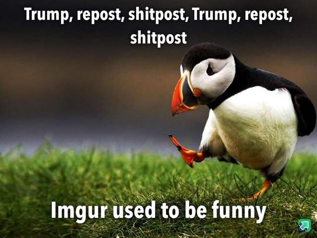 Reposts could be funny, but they are often the same fp-posts every day ...