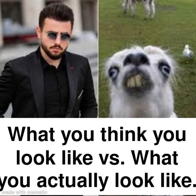 What you think you look like vs. What you actually look like - iFunny