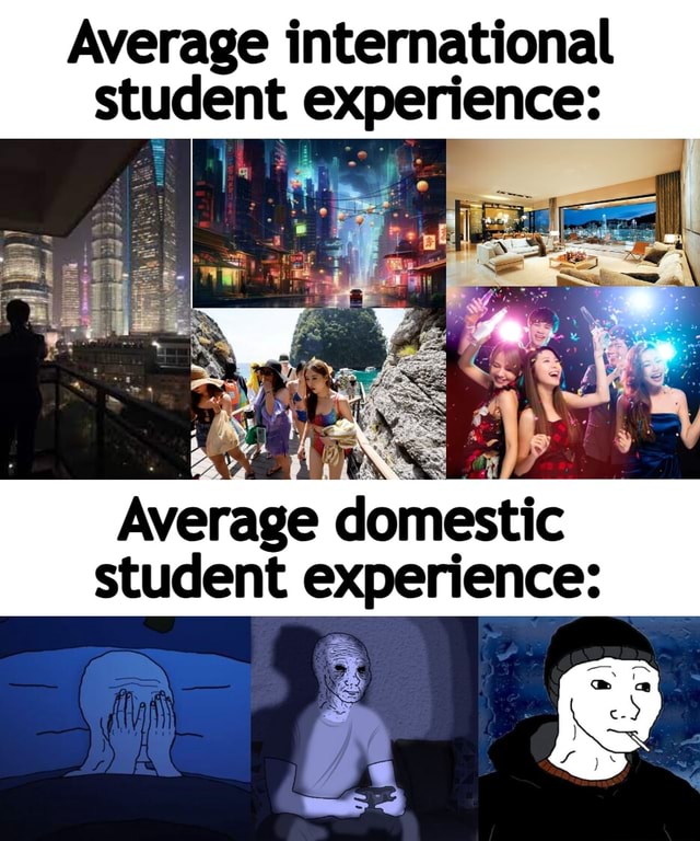 Average international student experience: es Average dome tic student ...