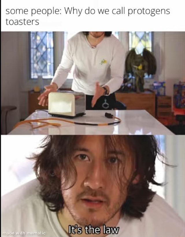 Some people: Why do we call protogens toasters with memat the - iFunny