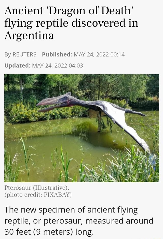 Ancient 'Dragon of Death' flying reptile discovered in Argentina By ...