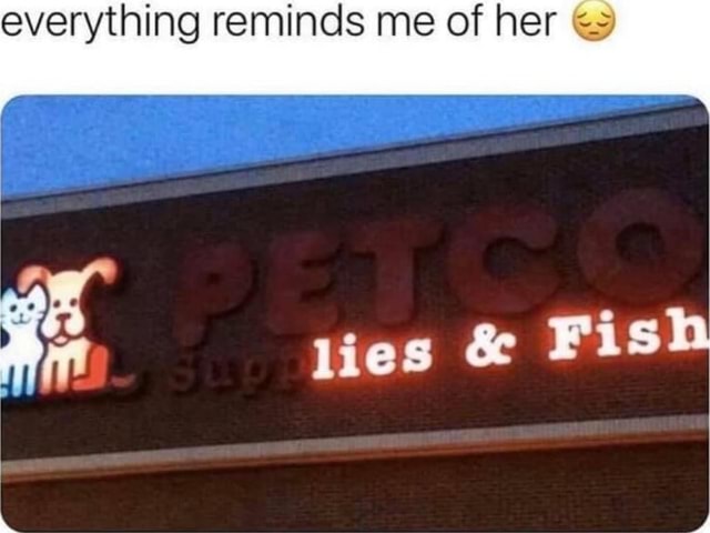 Everything reminds me of her lies & Fish - iFunny