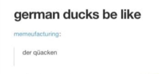 German ducks be like memeutacturing der quacken - iFunny