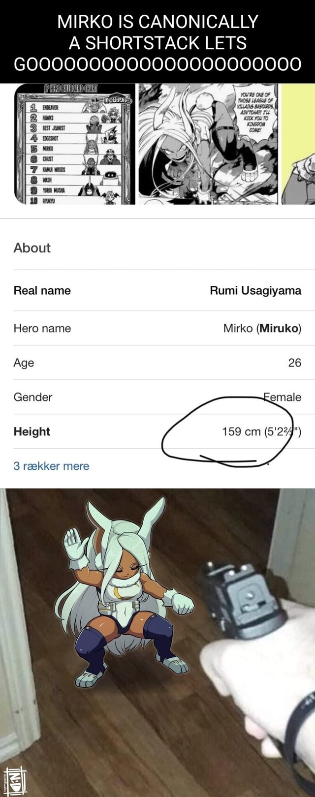 MIRKO IS CANONICALLY A SHORTSTACK LETS About Real name Rumi Usagiyama ...