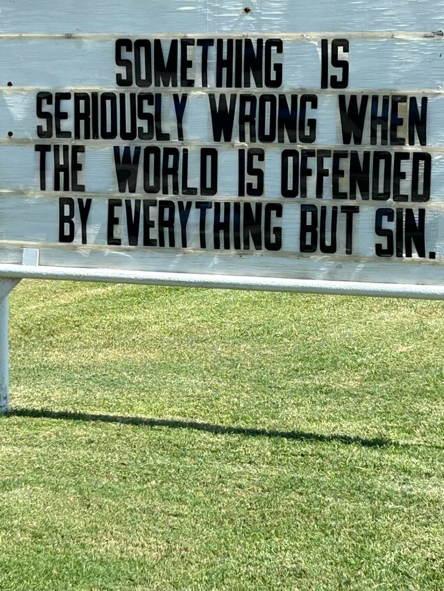 SOMETHING SERIDUSLY WRONG WHEN THE WORLD I OFFENDED BY EVERYTHING BUT ...