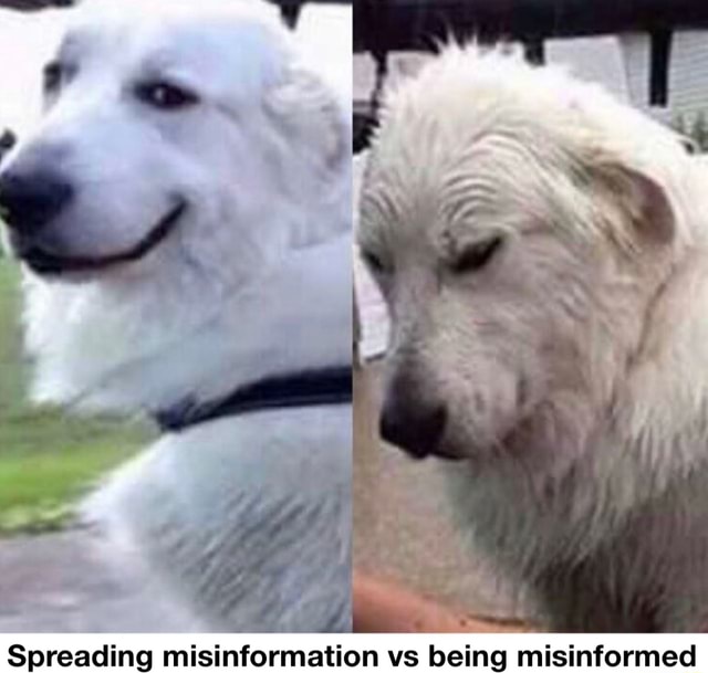 Spreading misinformation vs being misinformed - iFunny