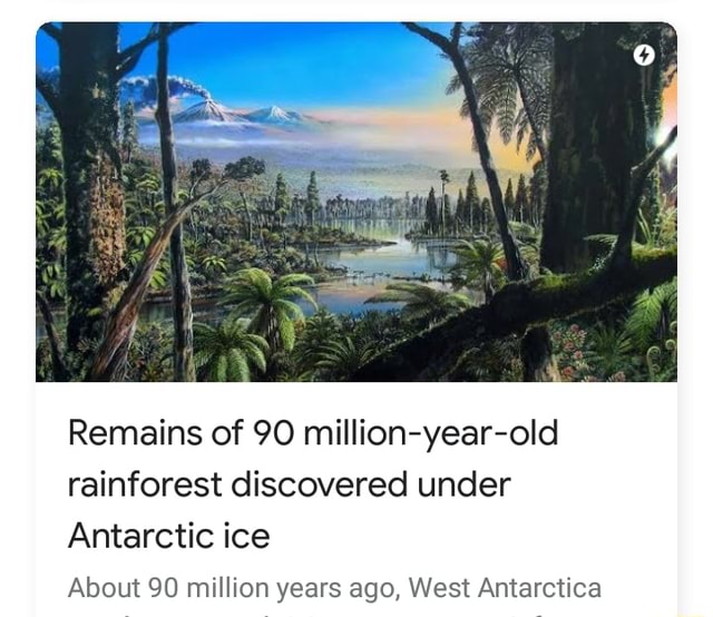 Remains of 90 million-year-old rainforest discovered under Antarctic ...