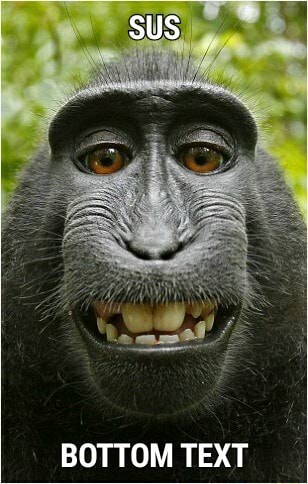 SUS BOTTOM TEXT - iFunny