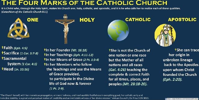 THE FOUR MARKS OF THE CATHOLIC CHURCH tis Christ who, through the Holy ...