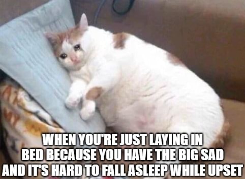 WHEN YOU'RE JUST LAYING IN BED BECAUSE YOU HAVE THE BIG SAD AND IT'S ...