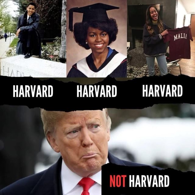 WARVARD HARVARD HARVARD HARVARD - America’s best pics and videos
