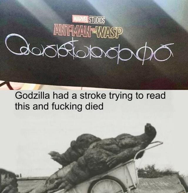 Godzilla had a stroke trying to read this and fucking died - iFunny
