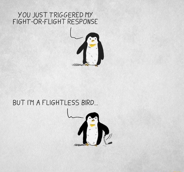 Penguins - YOU JUST TRIGGERED MY FIGHT-OR-FLIGHT RESPONSE BUT I'M ...