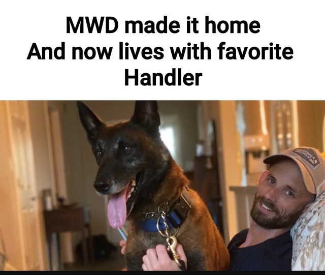 MWD made it home And now lives with favorite Handler - America’s best ...