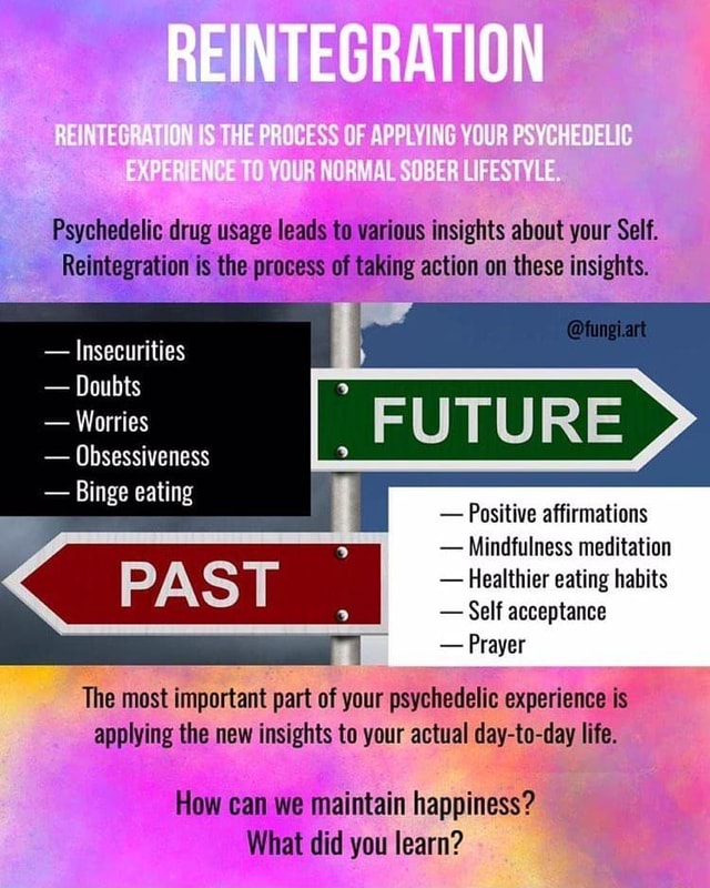 REINTEGRATION REINTEGRATION THE PROCESS OF APPLYING YOUR PSYCHEDELIC TO ...