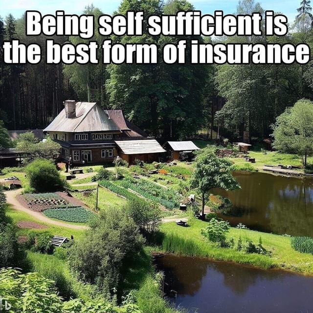 Beiig self sufficient i is. the best form of insurance - iFunny