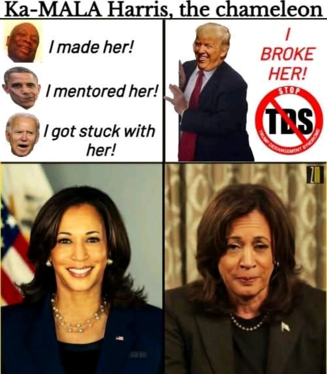 Ka-MALA Harris, the chameleon BROKE made her! S mentored her! I/ got ...