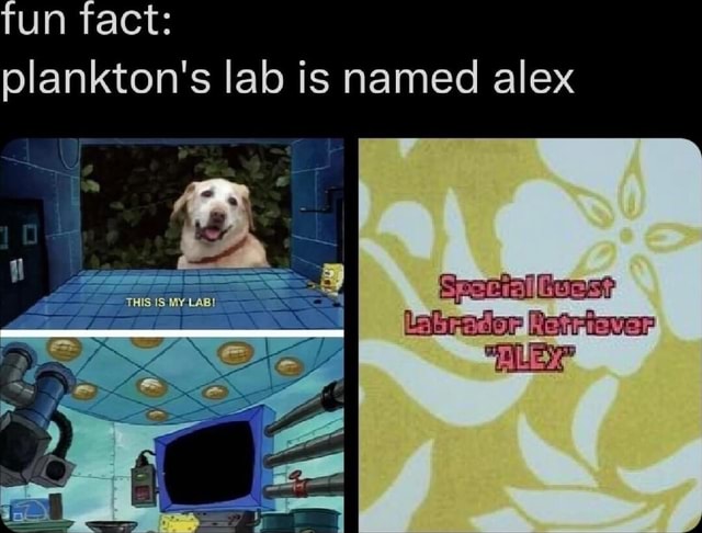 Run fact: plankton's lab is named alex - iFunny