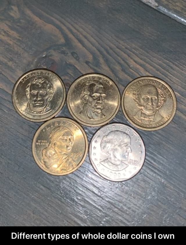 Different types of whole dollar coins I own - Different types of whole ...
